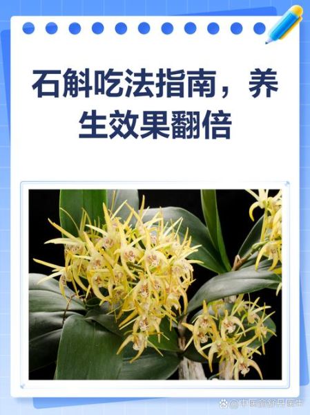 石解的功效与作用_石解怎么吃效果最好-第3张图片-山城妙识