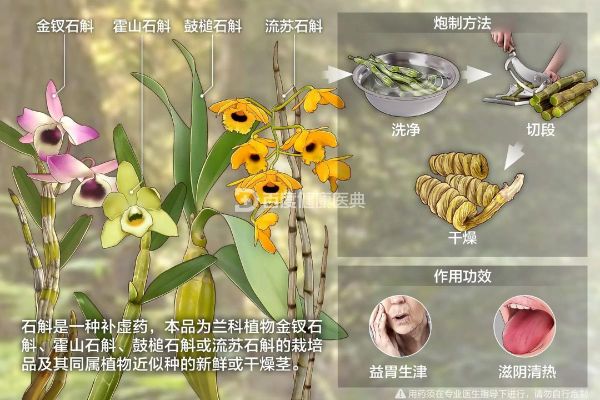 石解的功效与作用_石解怎么吃效果最好-第1张图片-山城妙识