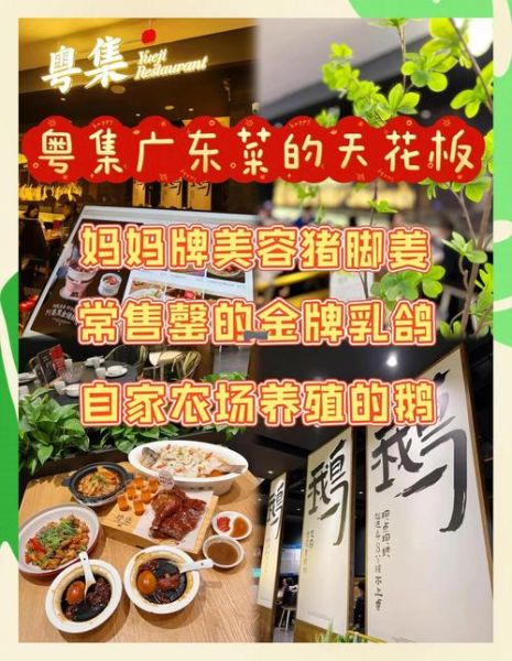 粤菜大全app怎么用_粤菜大全app收费吗-第3张图片-山城妙识
