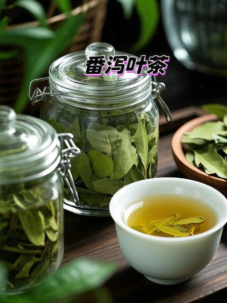 番泻叶一次泡多少克_番泻叶能天天喝吗-第2张图片-山城妙识 番泻叶一次泡多少克_番泻叶能天天喝吗-第2张图片-山城妙识