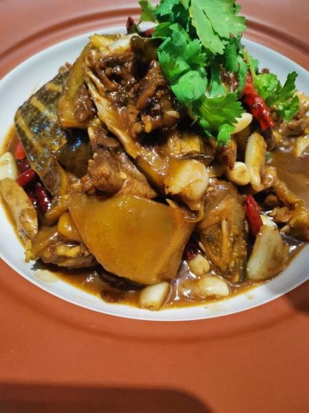 广东焖甲鱼的做法大全_甲鱼怎么焖才入味-第2张图片-山城妙识 广东焖甲鱼的做法大全_甲鱼怎么焖才入味-第2张图片-山城妙识