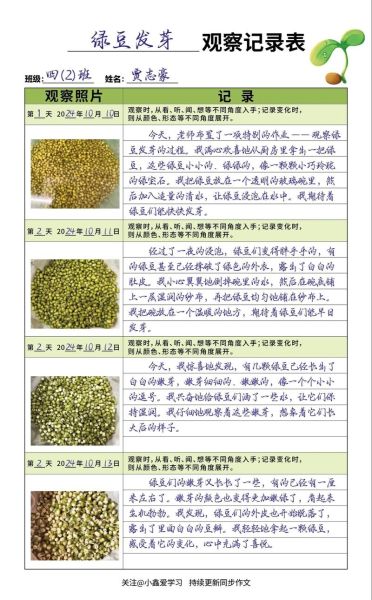 绿豆发芽观察日记评语怎么写_如何写好评语-第1张图片-山城妙识 绿豆发芽观察日记评语怎么写_如何写好评语-第1张图片-山城妙识