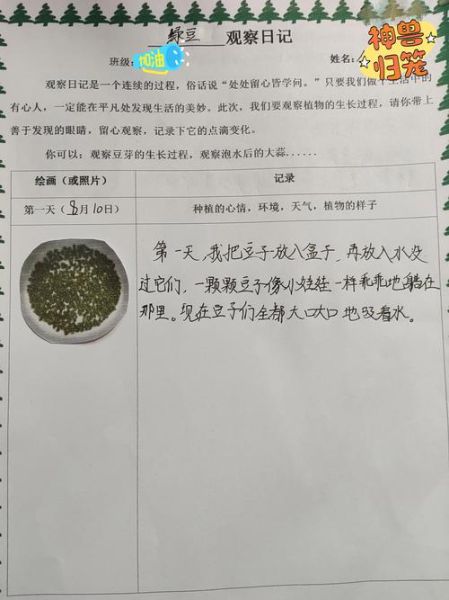 绿豆发芽观察日记评语怎么写_如何写好评语-第2张图片-山城妙识 绿豆发芽观察日记评语怎么写_如何写好评语-第2张图片-山城妙识