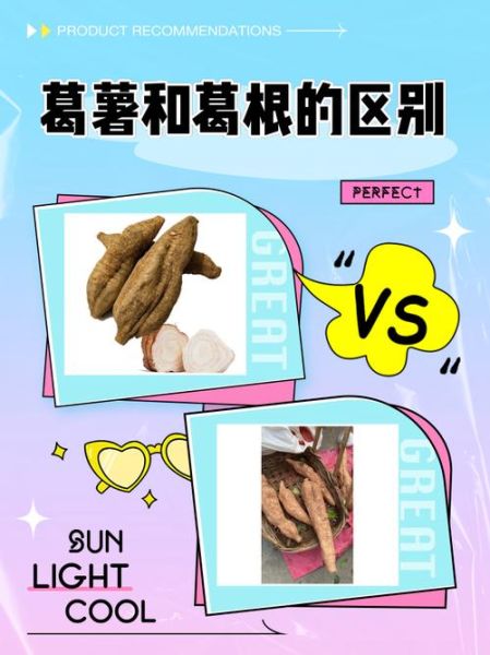 粉葛图片长什么样_粉葛和葛根的区别-第1张图片-山城妙识