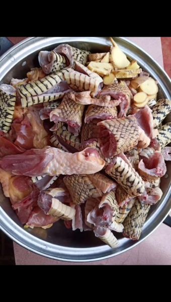 蛇肉炖鸡怎么做_蛇肉炖鸡的做法大全-第1张图片-山城妙识 蛇肉炖鸡怎么做_蛇肉炖鸡的做法大全-第1张图片-山城妙识
