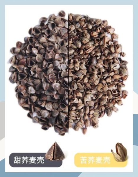 苦荞麦和荞麦的区别_哪个更健康-第3张图片-山城妙识 苦荞麦和荞麦的区别_哪个更健康-第3张图片-山城妙识