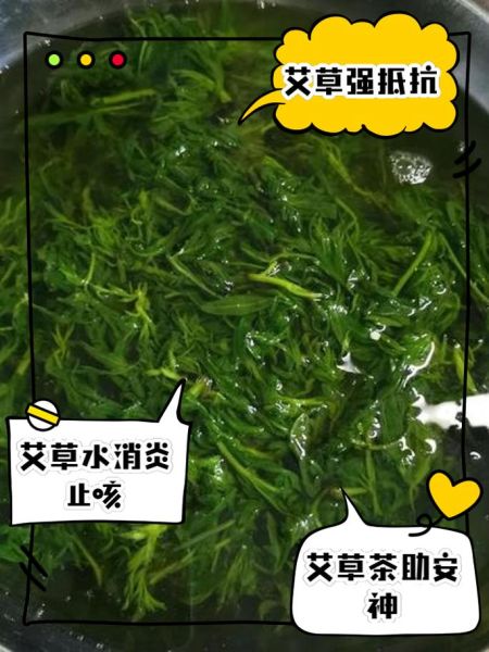 女人喝艾叶水的功效_长期喝艾叶水好吗-第3张图片-山城妙识 女人喝艾叶水的功效_长期喝艾叶水好吗-第3张图片-山城妙识