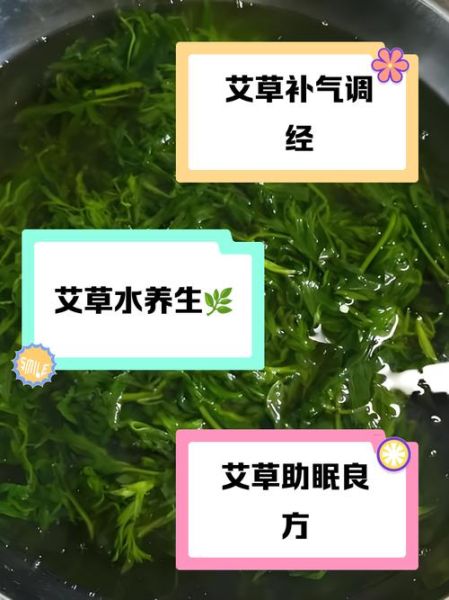 女人喝艾叶水的功效_长期喝艾叶水好吗-第2张图片-山城妙识 女人喝艾叶水的功效_长期喝艾叶水好吗-第2张图片-山城妙识