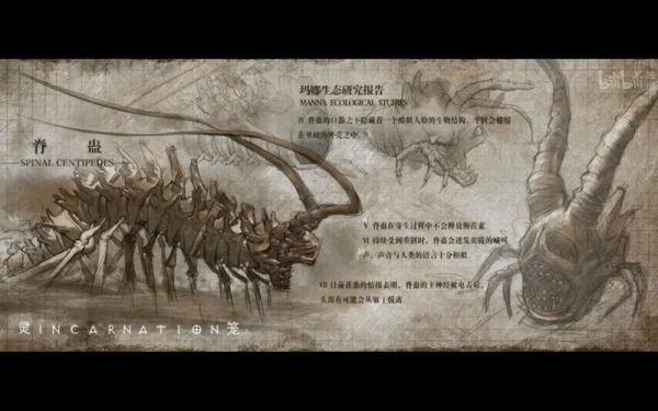 脊骨从灵笼开始吞噬_如何提升小说SEO排名-第3张图片-山城妙识 脊骨从灵笼开始吞噬_如何提升小说SEO排名-第3张图片-山城妙识