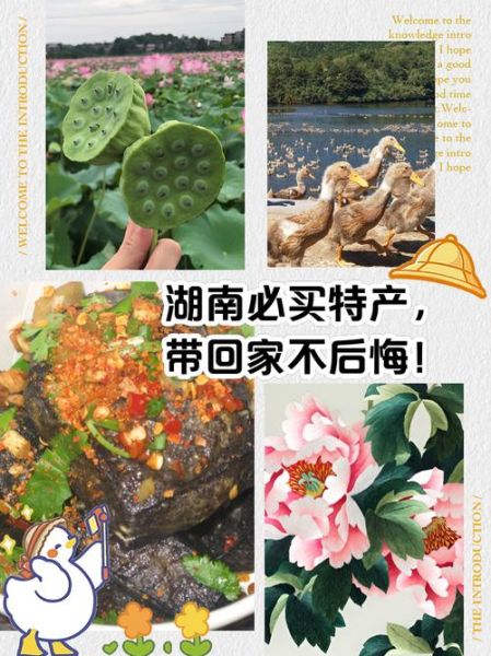 湖南特产有哪些_湖南特产送人推荐-第3张图片-山城妙识 湖南特产有哪些_湖南特产送人推荐-第3张图片-山城妙识