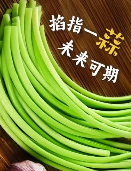 蒜薹的功效与作用_蒜薹怎么吃最营养-第3张图片-山城妙识 蒜薹的功效与作用_蒜薹怎么吃最营养-第3张图片-山城妙识