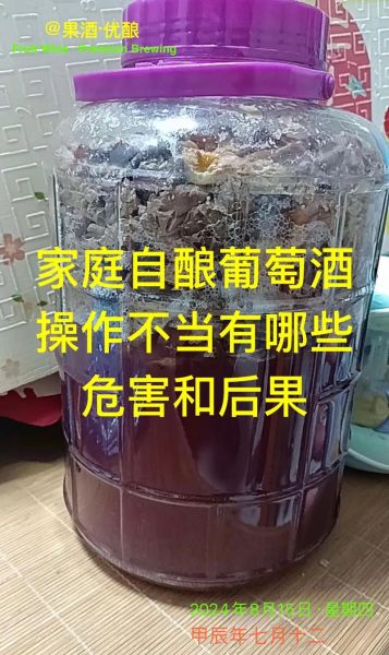 手工酿造葡萄酒步骤_自酿葡萄酒常见问题-第3张图片-山城妙识