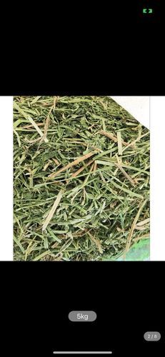 苜蓿干草价格多少钱一吨_苜蓿干草怎么喂牛最好-第1张图片-山城妙识