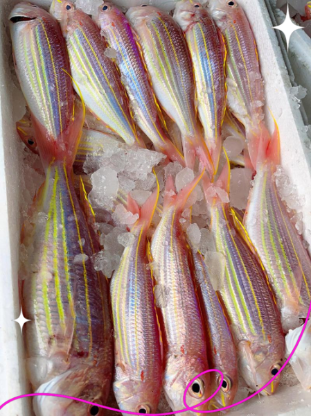 金线鱼和红衫鱼的区别_哪个更好吃-第1张图片-山城妙识