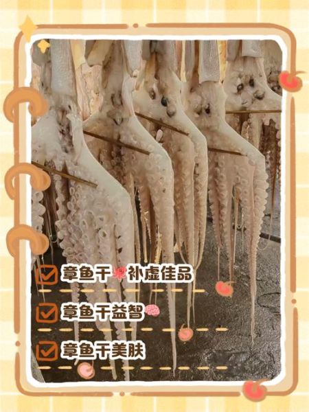 章鱼干的功效与作用_章鱼干怎么吃最营养-第1张图片-山城妙识