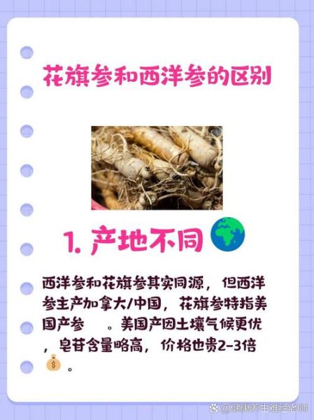 花旗参是西洋参吗_两者区别与功效-第2张图片-山城妙识