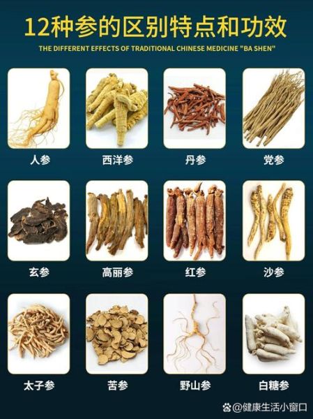 花旗参是西洋参吗_两者区别与功效-第3张图片-山城妙识
