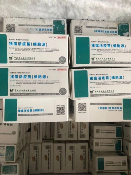 猪瘟疫苗有哪些种类_猪瘟疫苗怎么打-第3张图片-山城妙识