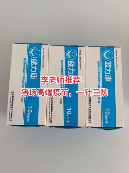 猪瘟疫苗有哪些种类_猪瘟疫苗怎么打-第2张图片-山城妙识