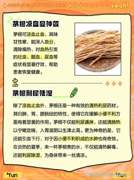 白茅根的功效与作用_白茅根的副作用有哪些-第1张图片-山城妙识 白茅根的功效与作用_白茅根的副作用有哪些-第1张图片-山城妙识