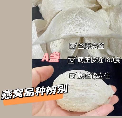 燕窝品种级别怎么区分_燕窝等级划分标准-第2张图片-山城妙识 燕窝品种级别怎么区分_燕窝等级划分标准-第2张图片-山城妙识