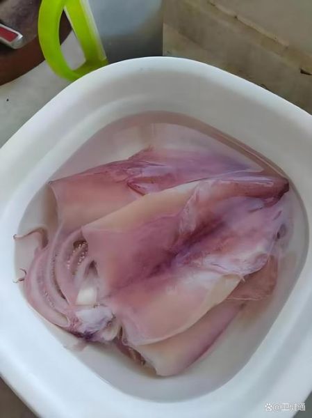 干鱿鱼丝怎么泡发_干鱿鱼丝怎么炒才嫩-第2张图片-山城妙识 干鱿鱼丝怎么泡发_干鱿鱼丝怎么炒才嫩-第2张图片-山城妙识