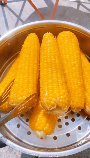 粘玉米怎么煮好吃_粘玉米煮多久才软糯-第1张图片-山城妙识
