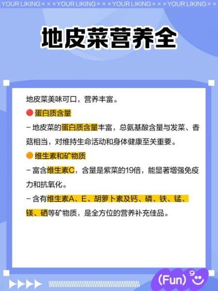 地皮菜不能和什么一起吃_地皮菜相克食物有哪些-第3张图片-山城妙识