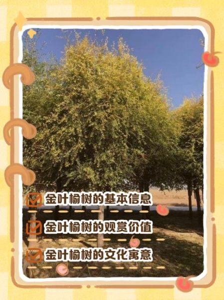 榆树寓意是什么_榆树象征什么-第2张图片-山城妙识 榆树寓意是什么_榆树象征什么-第2张图片-山城妙识