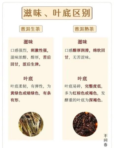 普洱茶有哪些种类_生普与熟普区别-第3张图片-山城妙识