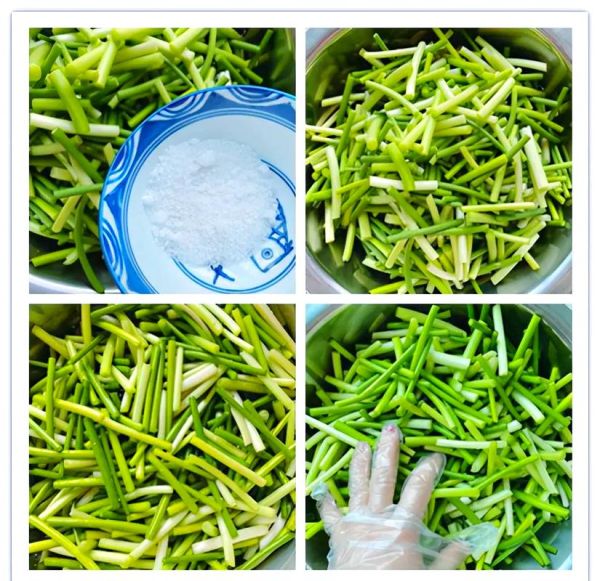 蒜苔怎么腌制才好吃_一年都不坏的秘诀-第2张图片-山城妙识 蒜苔怎么腌制才好吃_一年都不坏的秘诀-第2张图片-山城妙识