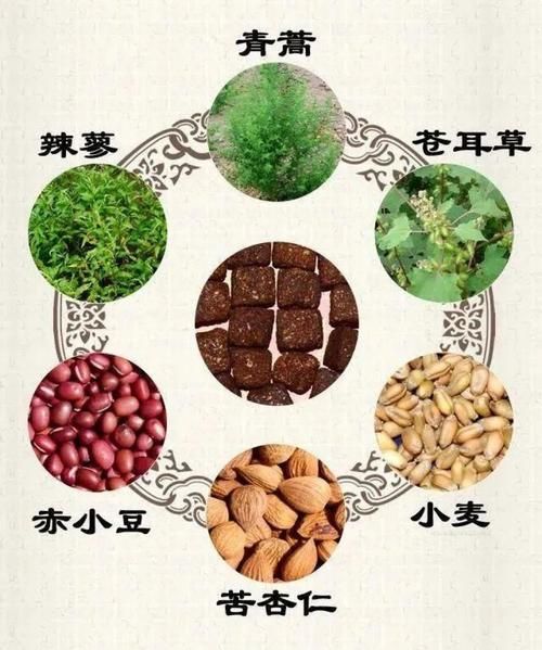 六神曲的功效与作用_六神曲的副作用有哪些-第2张图片-山城妙识