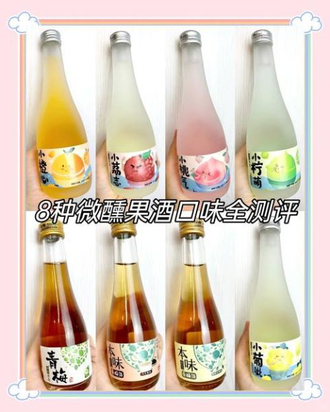 好喝的果酒有哪些_哪款果酒最适合女生-第2张图片-山城妙识