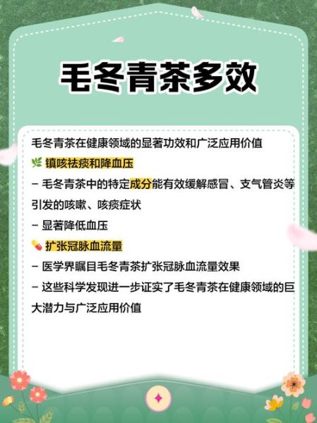 毛冬青的功效与作用及副作用_毛冬青能长期喝吗-第3张图片-山城妙识 毛冬青的功效与作用及副作用_毛冬青能长期喝吗-第3张图片-山城妙识