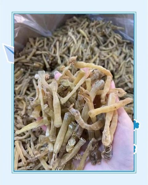 沙虫的功效与作用_沙虫怎么吃效果最好-第2张图片-山城妙识 沙虫的功效与作用_沙虫怎么吃效果最好-第2张图片-山城妙识