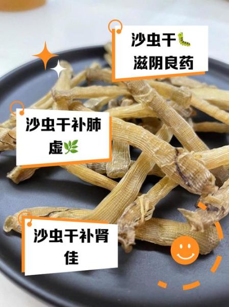 沙虫的功效与作用_沙虫怎么吃效果最好-第1张图片-山城妙识 沙虫的功效与作用_沙虫怎么吃效果最好-第1张图片-山城妙识