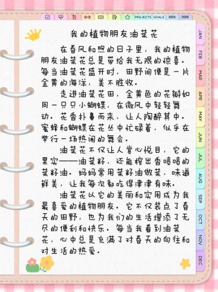 油菜花什么时候开_油菜花作文怎么写-第1张图片-山城妙识 油菜花什么时候开_油菜花作文怎么写-第1张图片-山城妙识