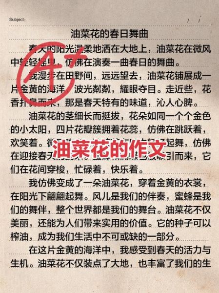 油菜花什么时候开_油菜花作文怎么写-第2张图片-山城妙识 油菜花什么时候开_油菜花作文怎么写-第2张图片-山城妙识