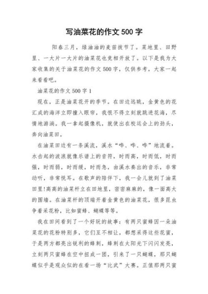 油菜花什么时候开_油菜花作文怎么写-第3张图片-山城妙识 油菜花什么时候开_油菜花作文怎么写-第3张图片-山城妙识