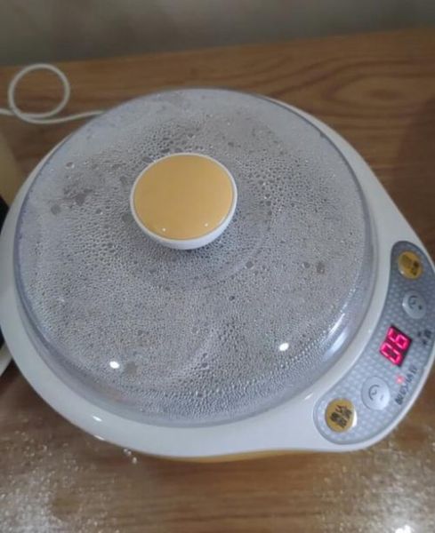 家用酸奶机多少钱一个_家用酸奶机价格区间-第3张图片-山城妙识 家用酸奶机多少钱一个_家用酸奶机价格区间-第3张图片-山城妙识