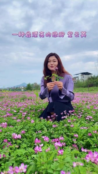 紫云英的功效与作用_紫云英怎么吃效果最好-第2张图片-山城妙识 紫云英的功效与作用_紫云英怎么吃效果最好-第2张图片-山城妙识