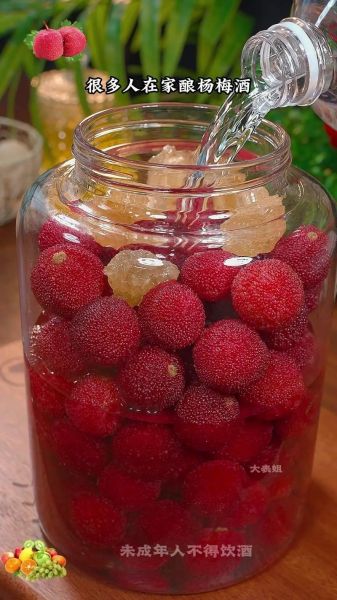 杨梅酒怎么泡最好_泡杨梅酒用什么酒最好-第3张图片-山城妙识 杨梅酒怎么泡最好_泡杨梅酒用什么酒最好-第3张图片-山城妙识