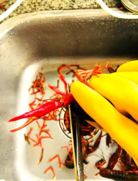 小龙虾怎么清洗_小龙虾清洗方法视频教程-第2张图片-山城妙识 小龙虾怎么清洗_小龙虾清洗方法视频教程-第2张图片-山城妙识