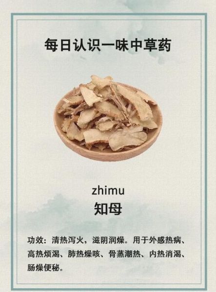 知母长什么样_知母图片怎么辨别真假-第3张图片-山城妙识