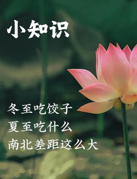 夏至吃什么传统食物_夏至传统食物有哪些-第2张图片-山城妙识 夏至吃什么传统食物_夏至传统食物有哪些-第2张图片-山城妙识