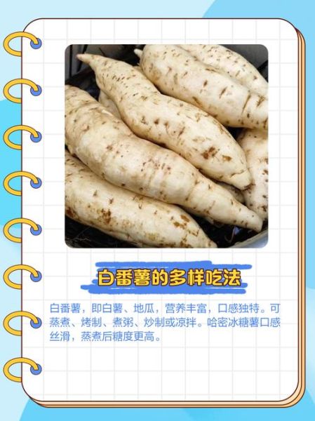 白地瓜的功效与作用_白地瓜的营养价值-第2张图片-山城妙识 白地瓜的功效与作用_白地瓜的营养价值-第2张图片-山城妙识