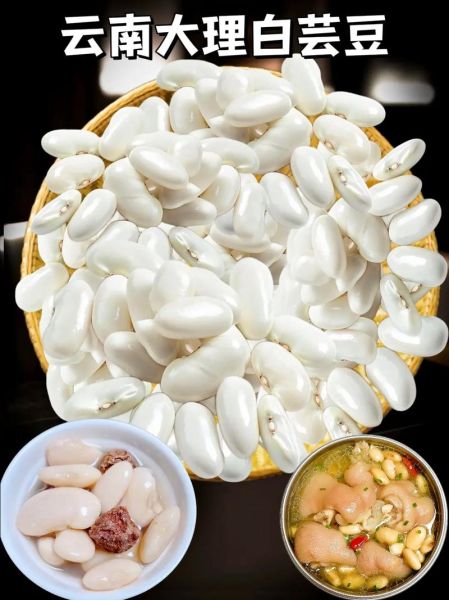 白芸豆怎么煮容易烂_白芸豆快速软烂技巧-第2张图片-山城妙识 白芸豆怎么煮容易烂_白芸豆快速软烂技巧-第2张图片-山城妙识