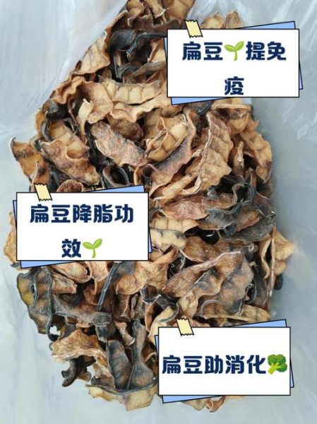 干扁豆图片大全_干扁豆怎么做好吃-第1张图片-山城妙识 干扁豆图片大全_干扁豆怎么做好吃-第1张图片-山城妙识