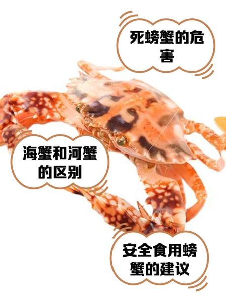 海蟹死后多久不能吃_死海蟹多久有毒-第1张图片-山城妙识 海蟹死后多久不能吃_死海蟹多久有毒-第1张图片-山城妙识