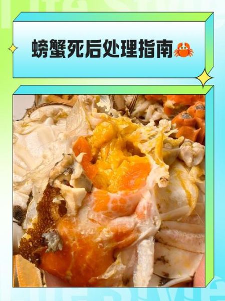 海蟹死后多久不能吃_死海蟹多久有毒-第3张图片-山城妙识 海蟹死后多久不能吃_死海蟹多久有毒-第3张图片-山城妙识